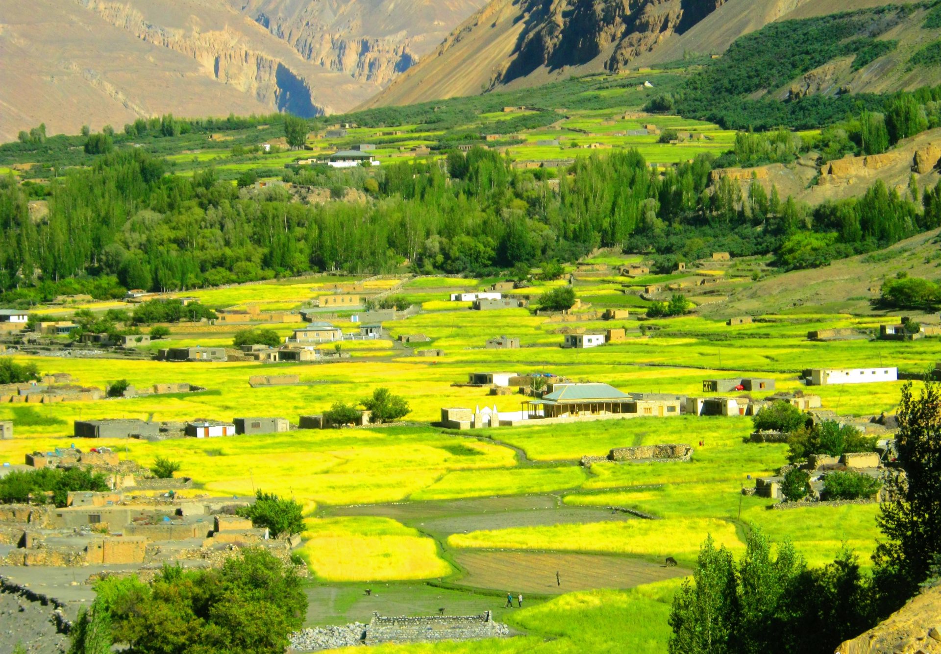 All you need to know about Shimshal Valley of Hunza - MediaRay